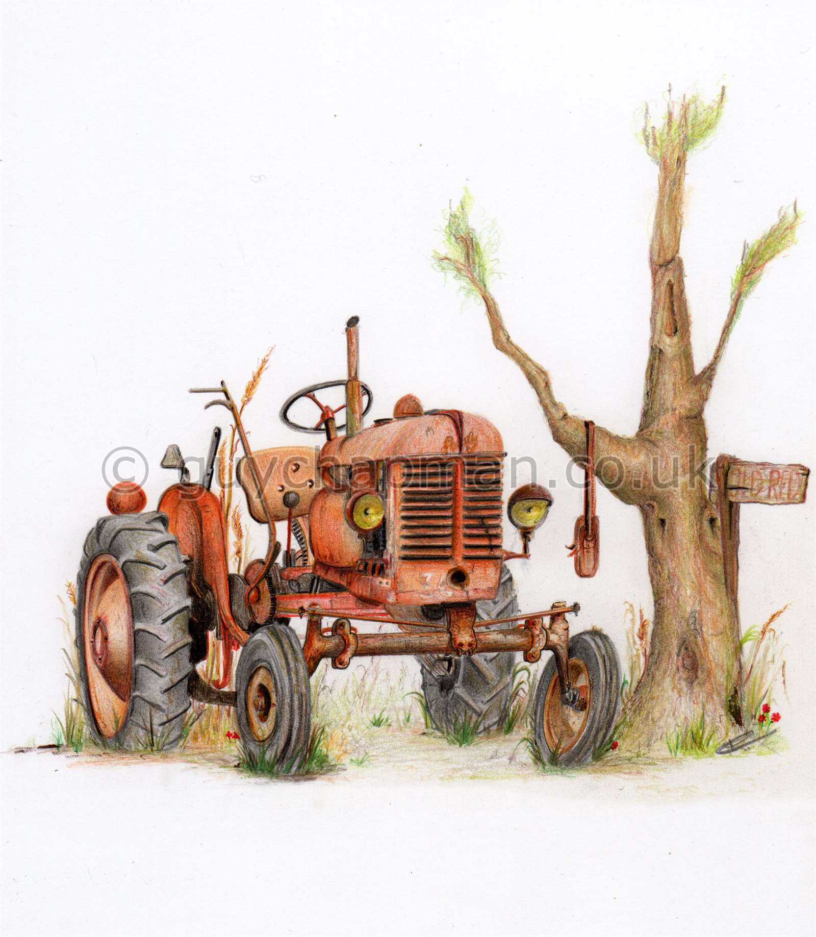 Old Red - an original drawing by Guy Chapman | Guy Chapman Art ...